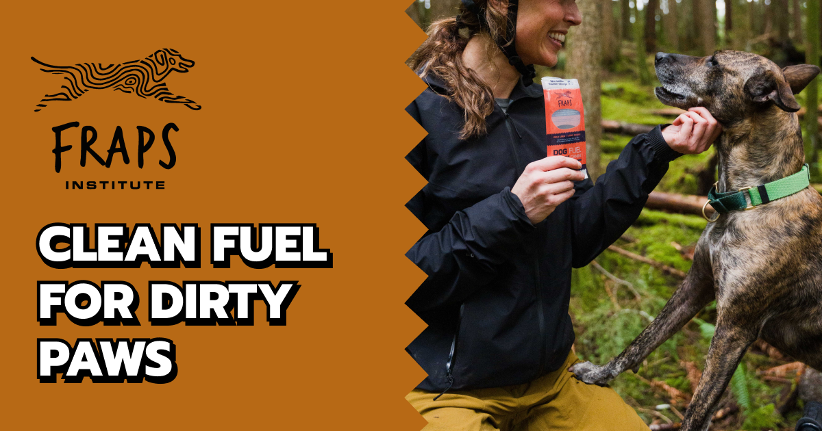 Adventure Dog Treat Bars - Clean Fuel for Active & Trail Dogs | FRAPS ...